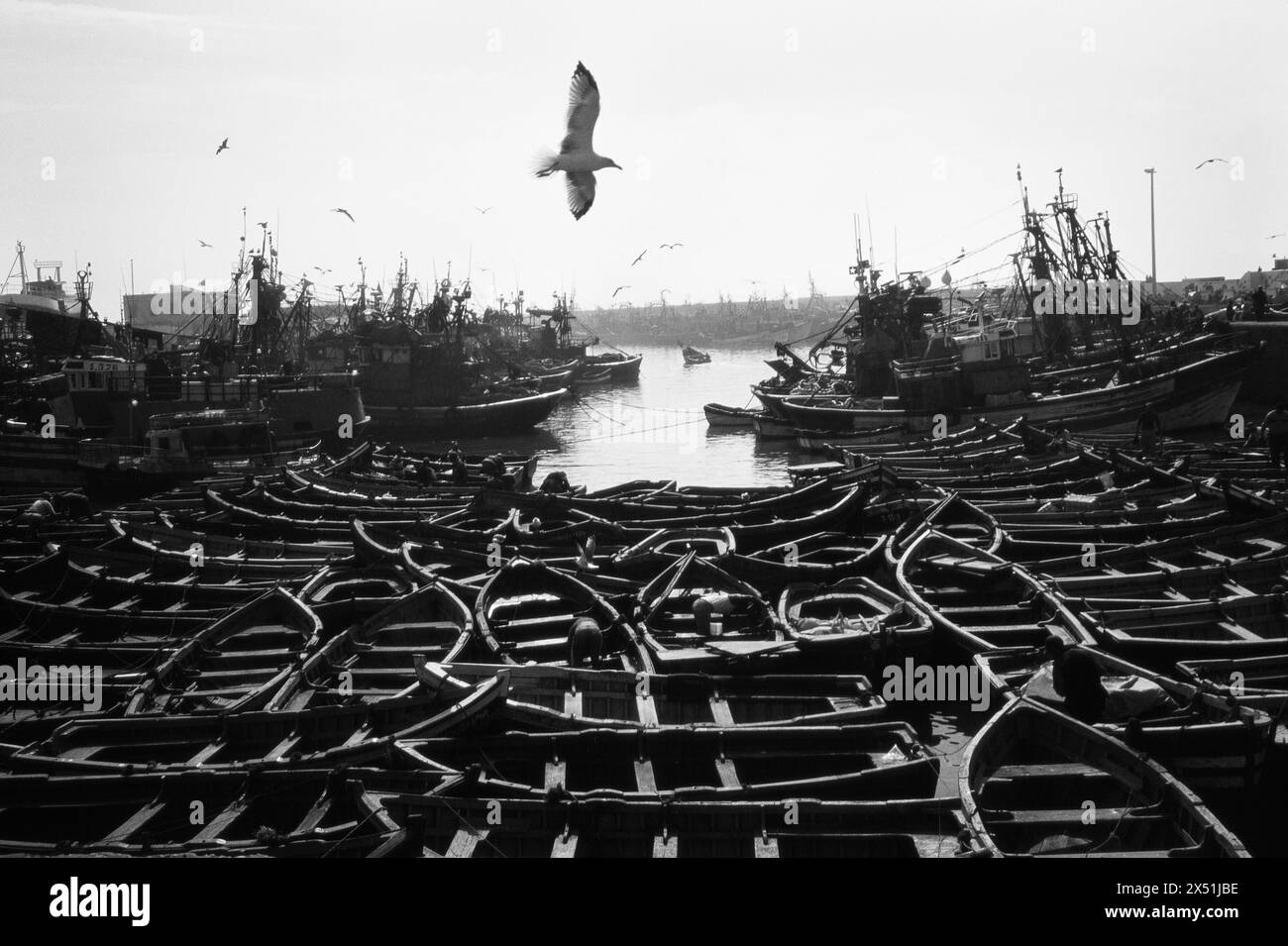 Large fishing boats Black and White Stock Photos & Images - Alamy