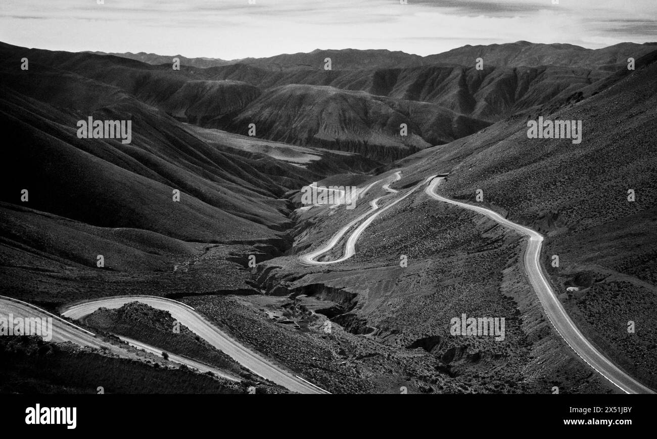 Winding snakes Black and White Stock Photos & Images - Alamy