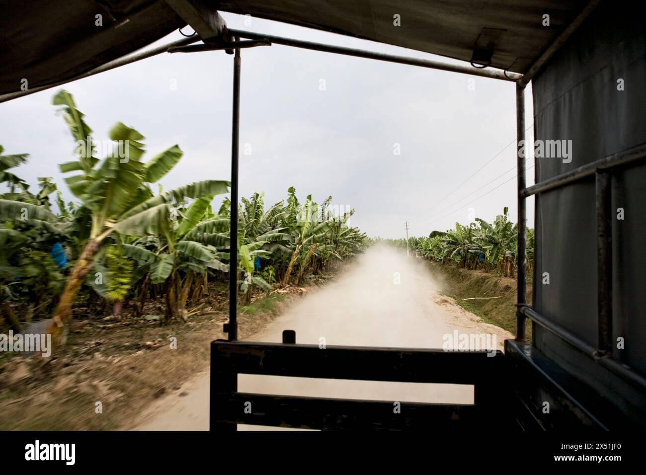 A view out the back of a covered truck as it drives through banana ...