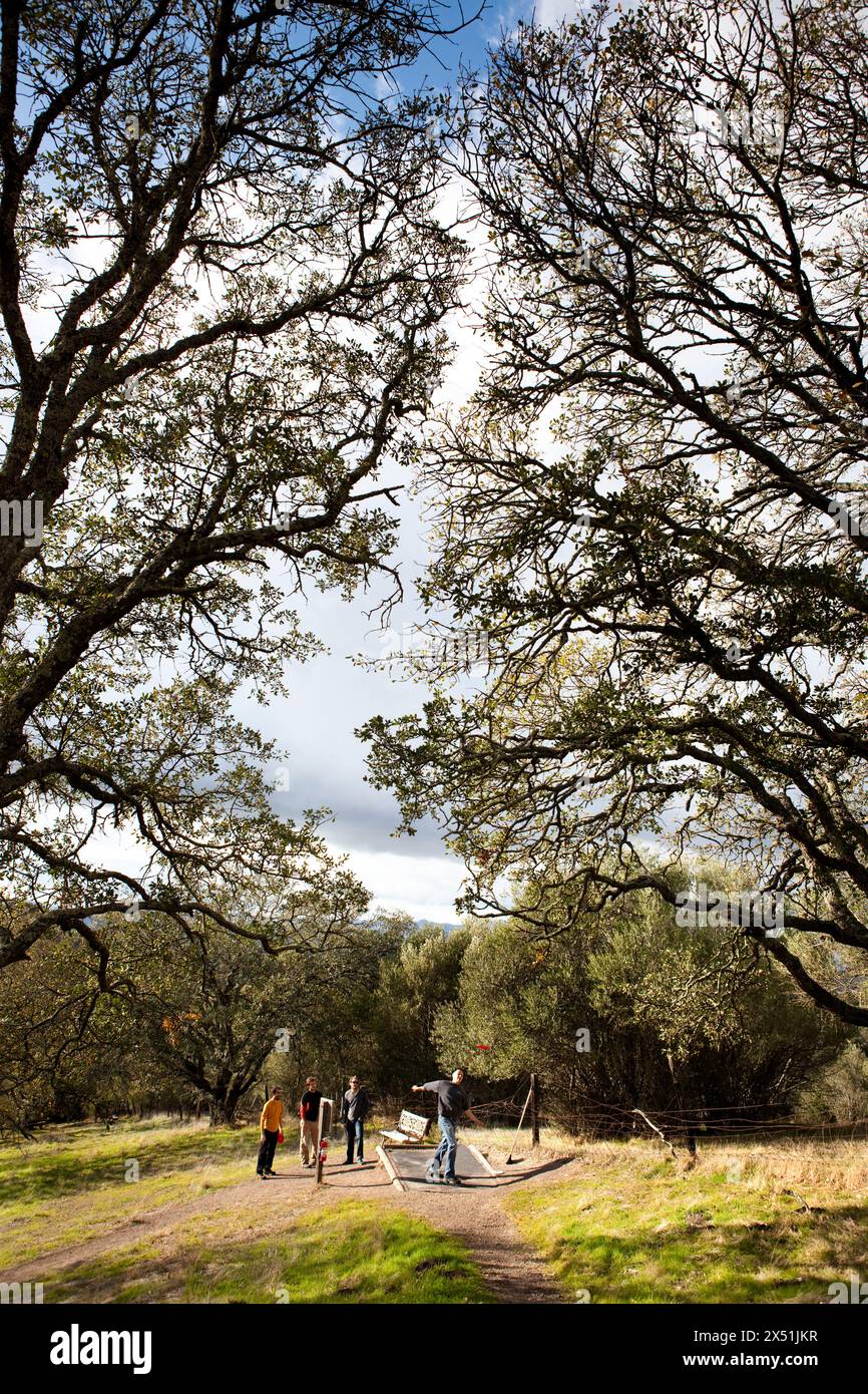 A group plays frisbee golf Stock Photo - Alamy