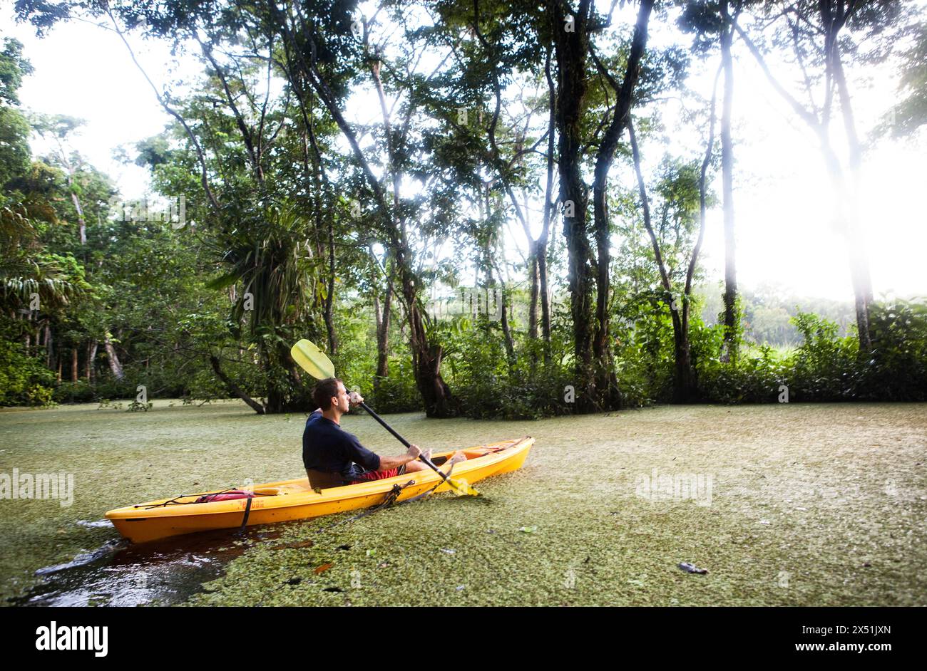 Kayaking in the jungle Stock Photo - Alamy