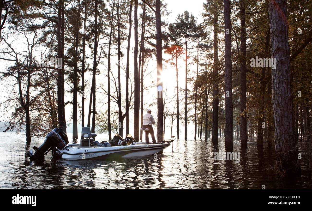 Bass fishing from a boat in pine trees Stock Photo - Alamy