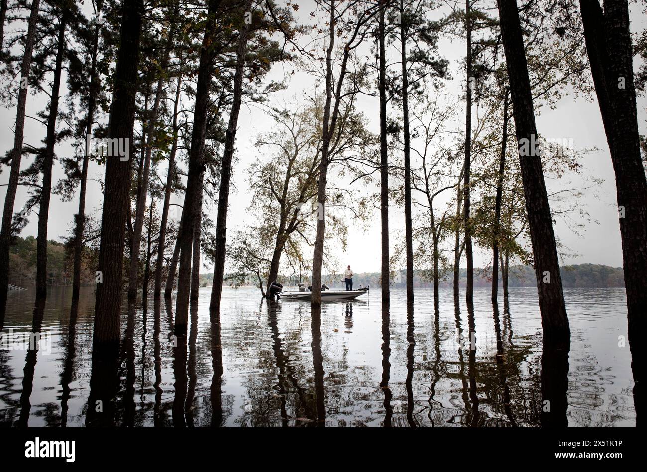 Bass fishing from a boat in pine trees Stock Photo - Alamy