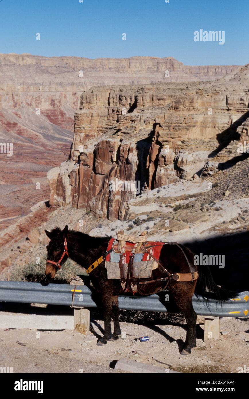 Geocultcollection hi-res stock photography and images - Alamy