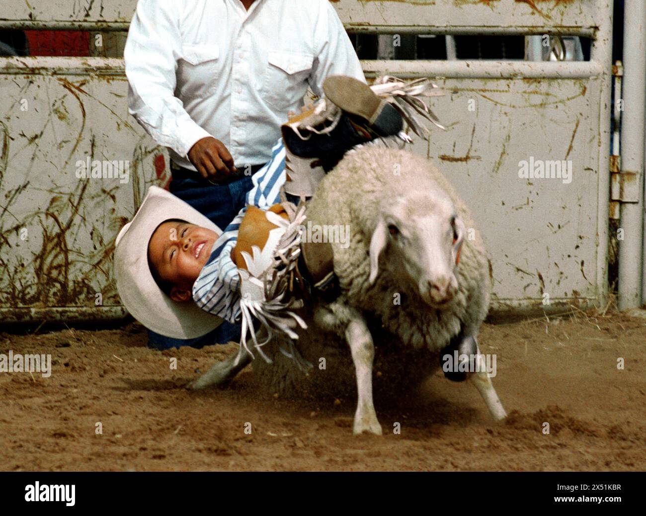 Children riding sheep hi-res stock photography and images - Alamy