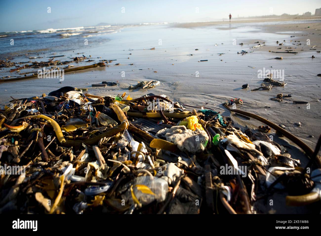 Ocean Conservancy International Coastal Clean-up on Milnerton Beach ...