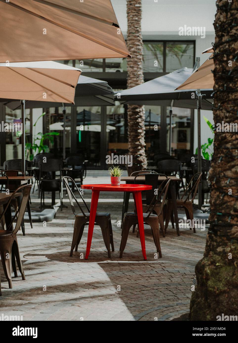 Black restaurant hi-res stock photography and images - Alamy