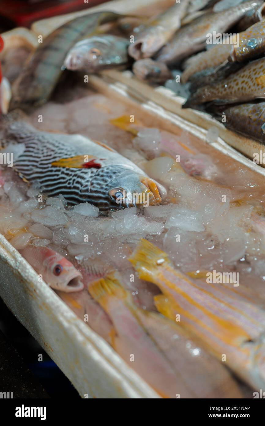 Catch containers hi-res stock photography and images - Alamy