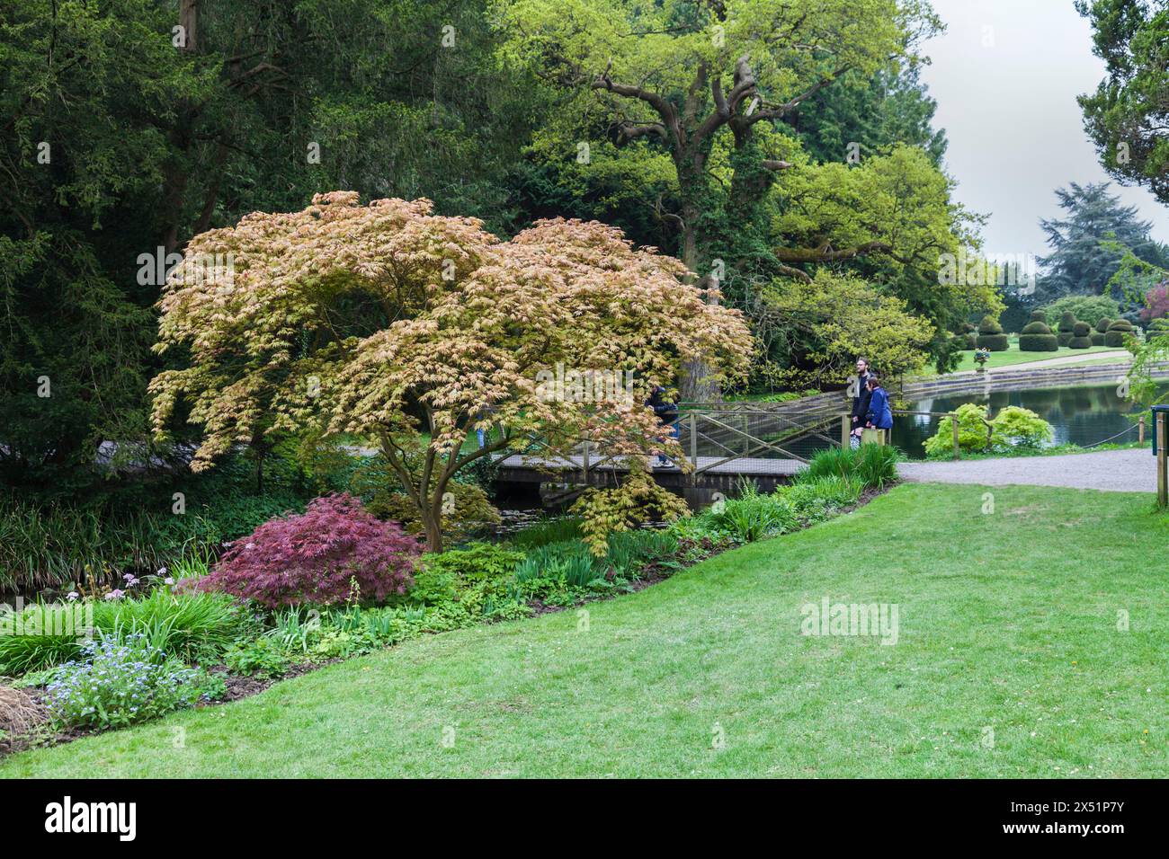 A scenic view of the plants and gardens at Thorp Perrow Arboretum, near ...