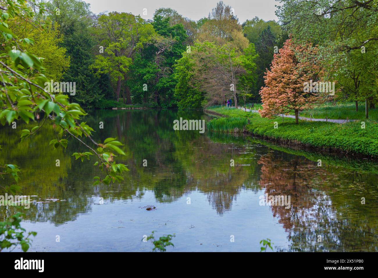 A scenic view of the lake,plants and gardens at Thorp Perrow Arboretum ...