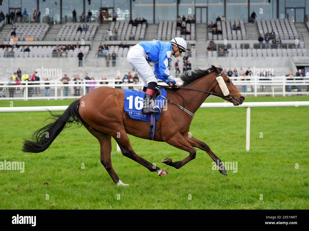 Pinar Del Rio ridden by Ronan Whelan on their way to winning the Holden ...