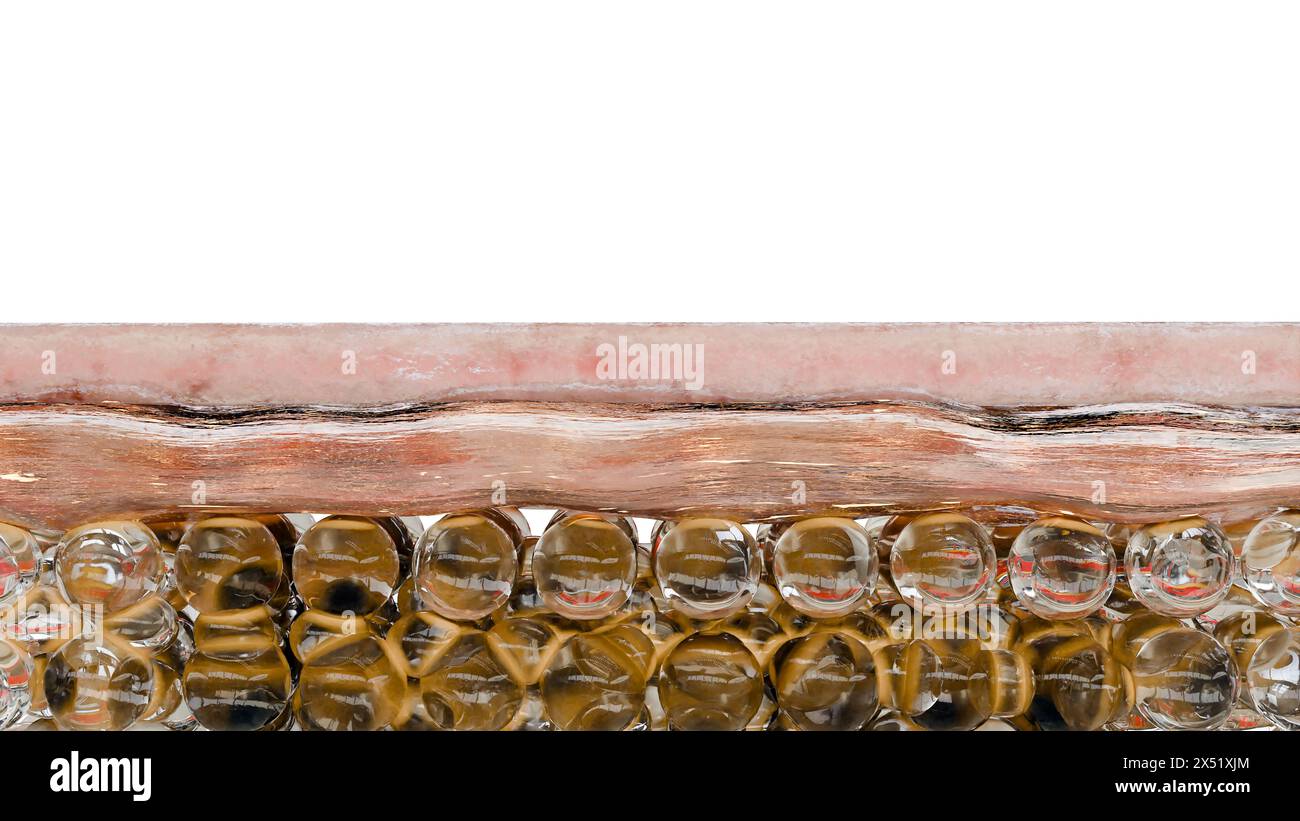 Weight loss Comparison. man body transformation. Before and after a ...