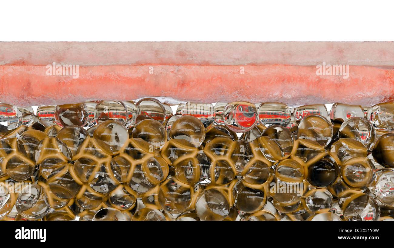 Weight loss Comparison. man body transformation. Before and after a ...