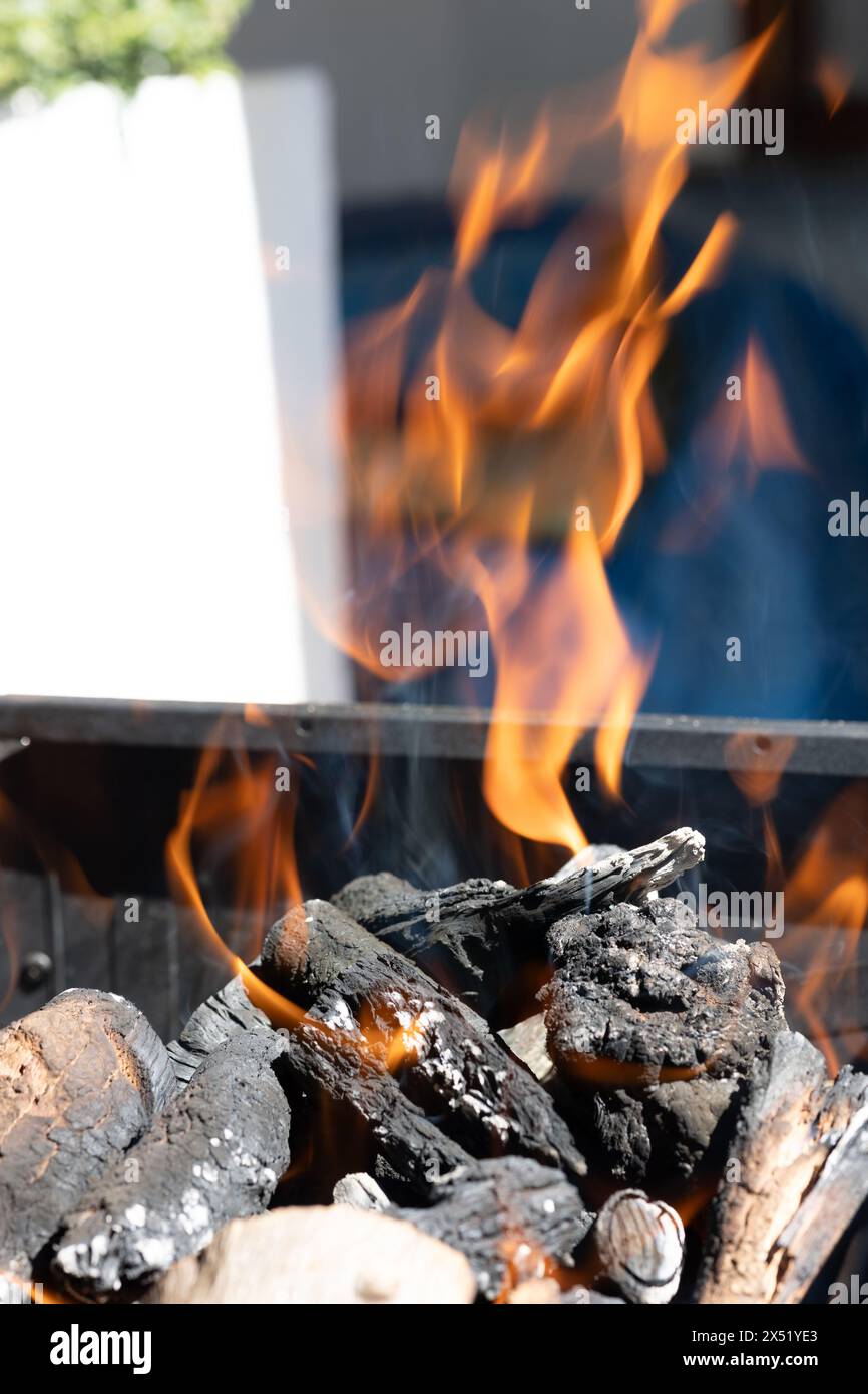 fire and embers for the barbecue, preparing to be ready to put on the ...