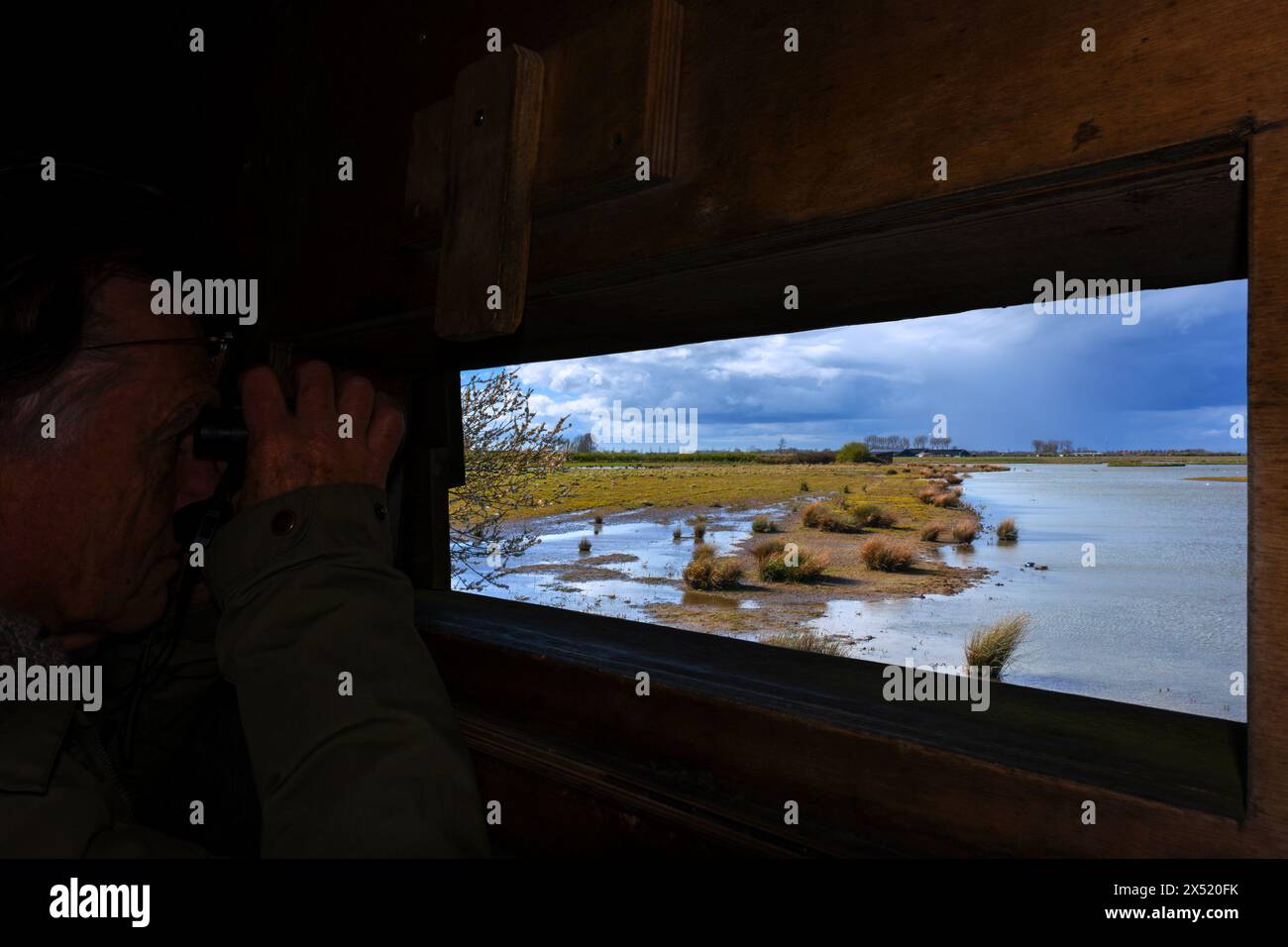 Birdwatcher in bird hide looking through binoculars at ducks and other ...