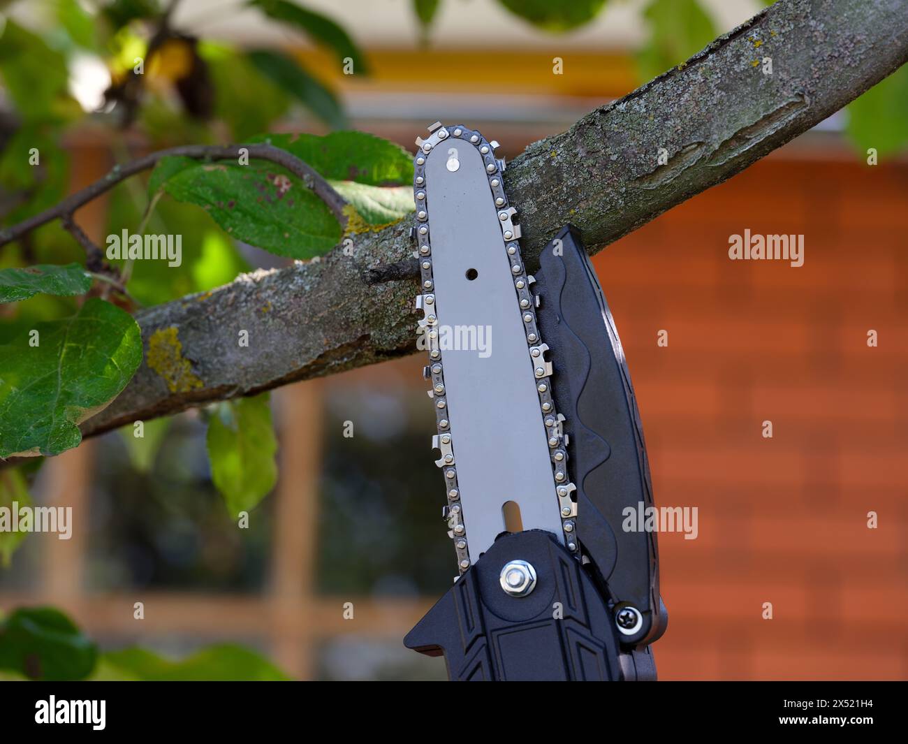 A portable electric chain saw ready to cutting a branch of a tree Stock Photo - Alamy