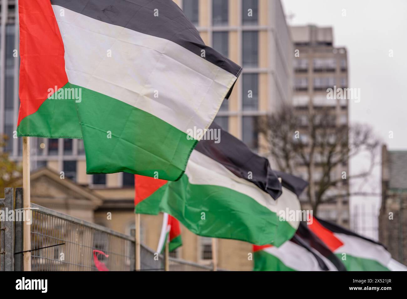 Palestine flags erected at University of Toronto. Students are ...