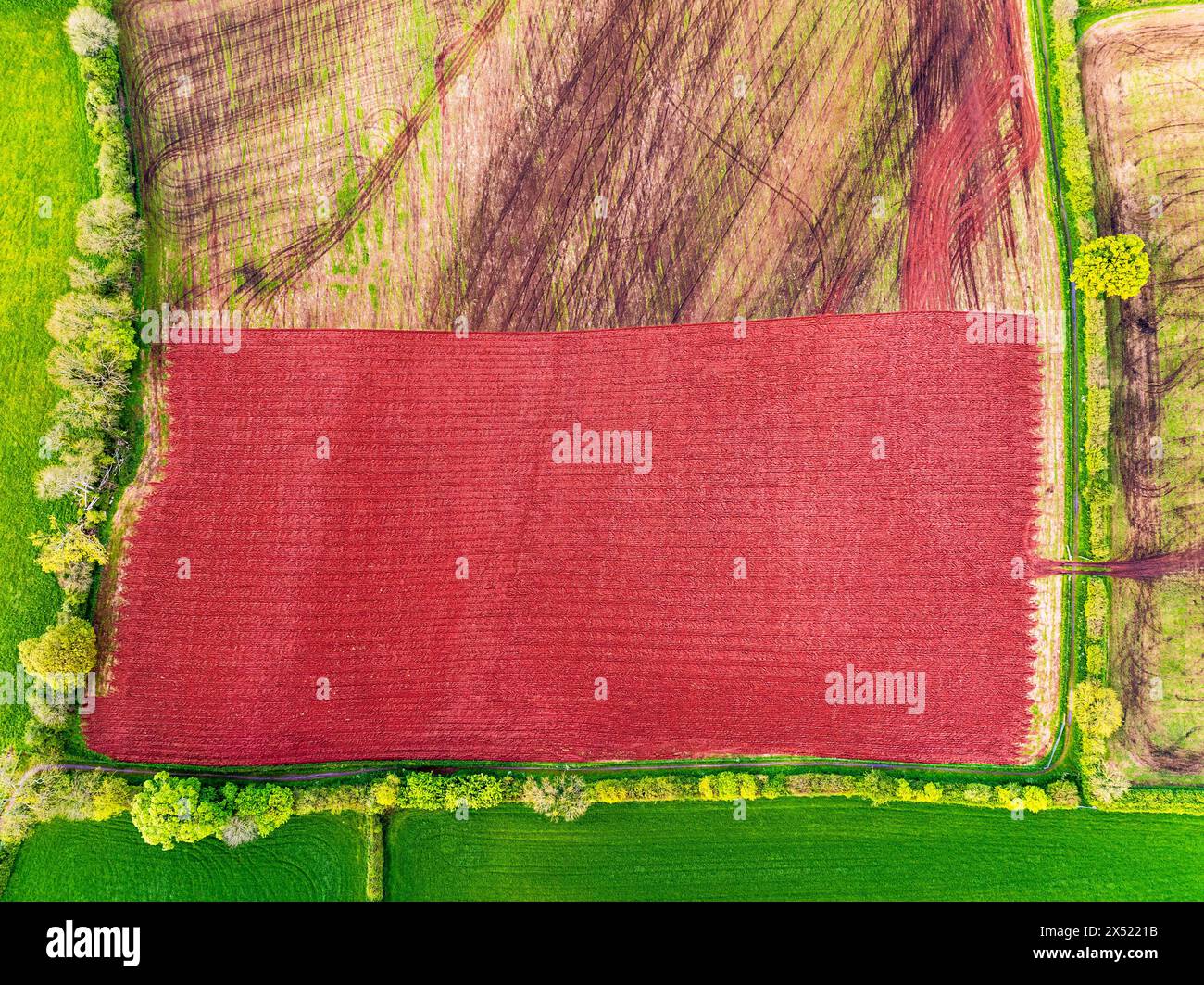 Top Down over Fields and farms from a drone, Torquay, Devon, England ...