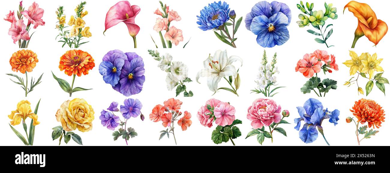 Watercolor flower set isolated background. Various floral collection of ...