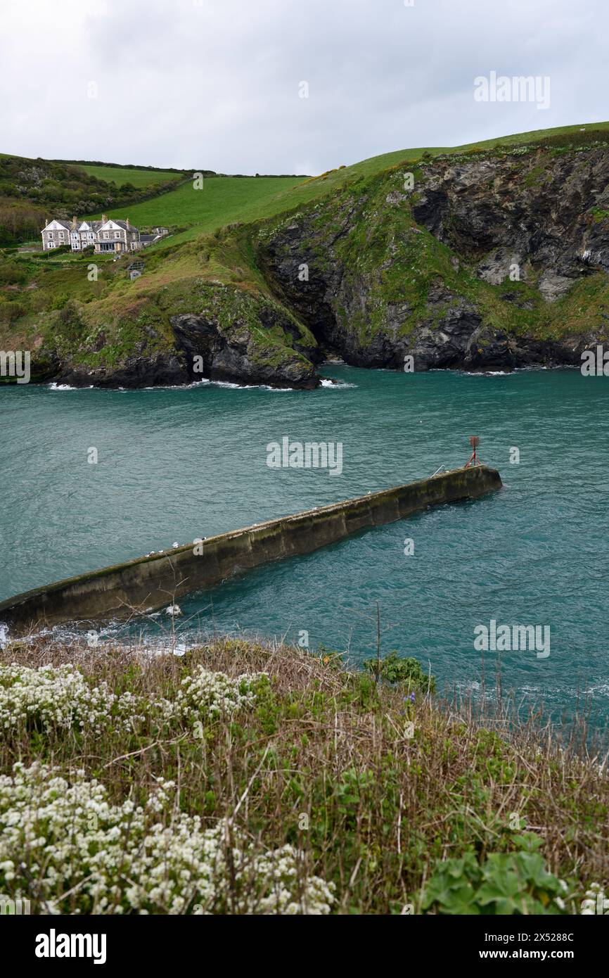 Port Issac Harbour Cornwall England uk Stock Photo - Alamy