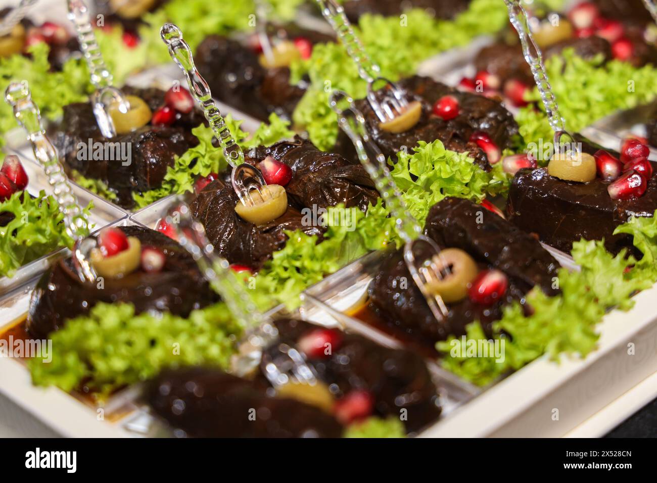 Arabic home traditional food-LEBANESE VEGETARIAN STUFFED GRAPE LEAVES ...