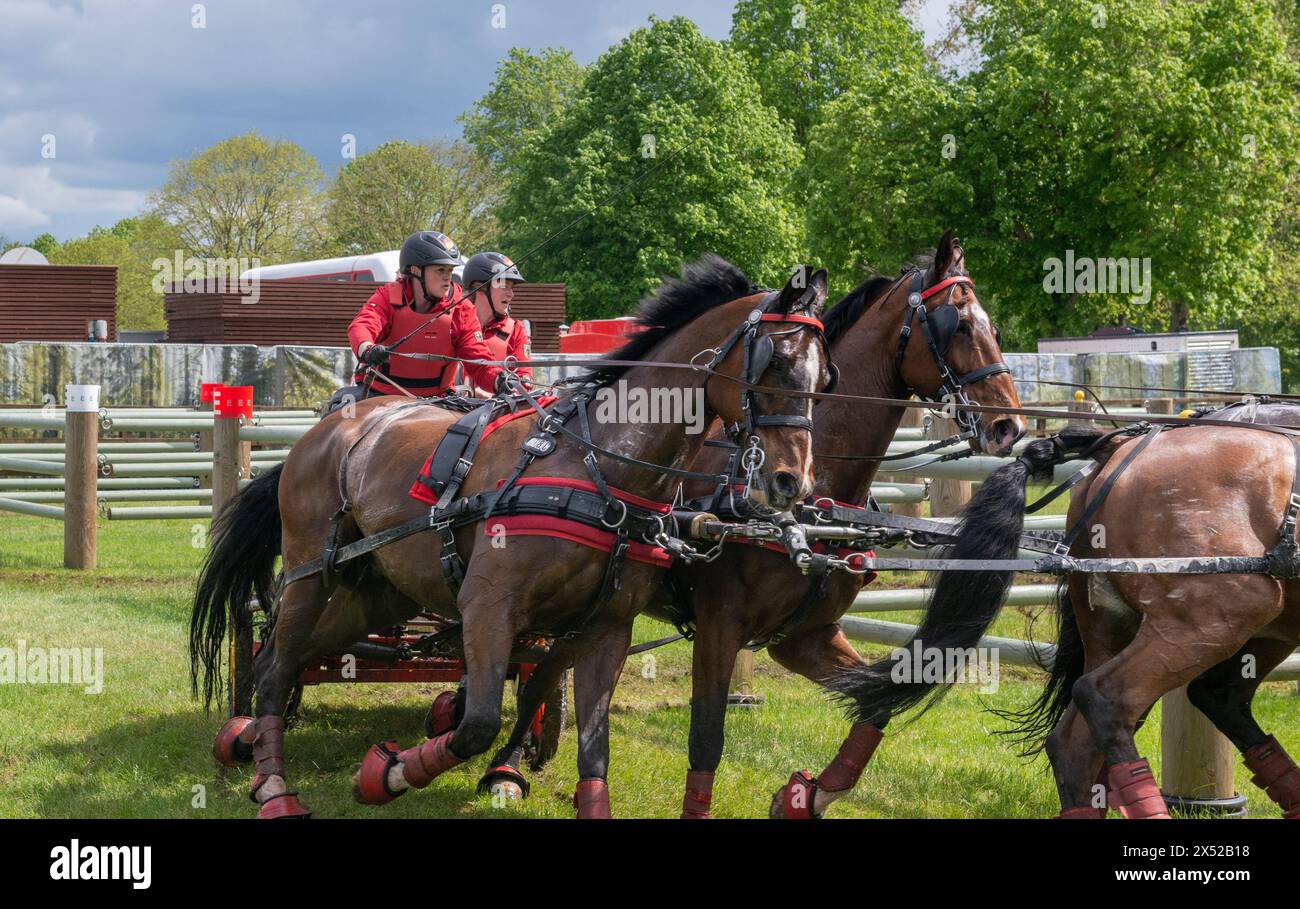 Royal Windsor Horse Show CAIO4*-H4 & CAI3*-H1,* Mareike HARM - GER ...