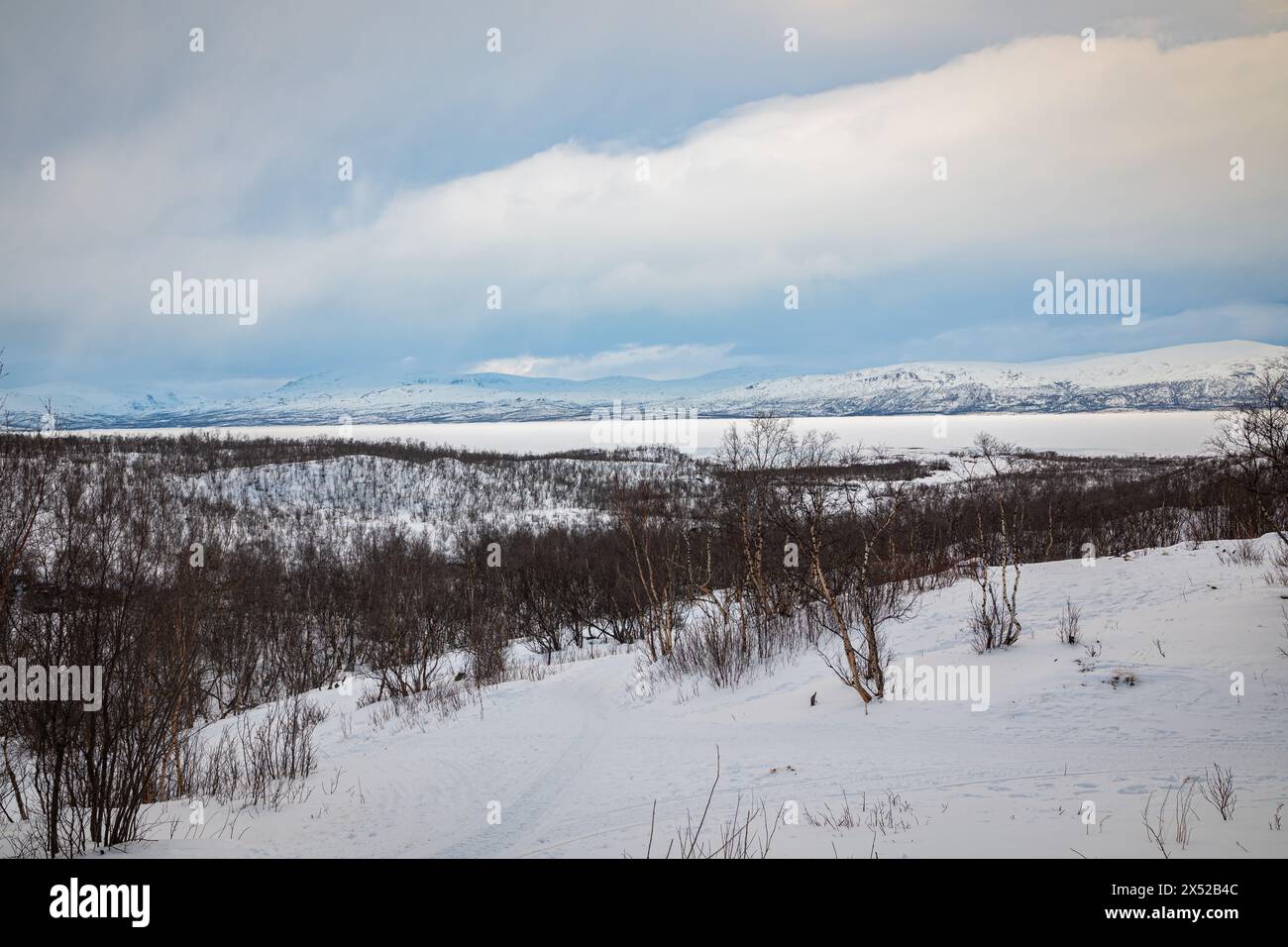 Panorama snow covered forests hi-res stock photography and images - Alamy