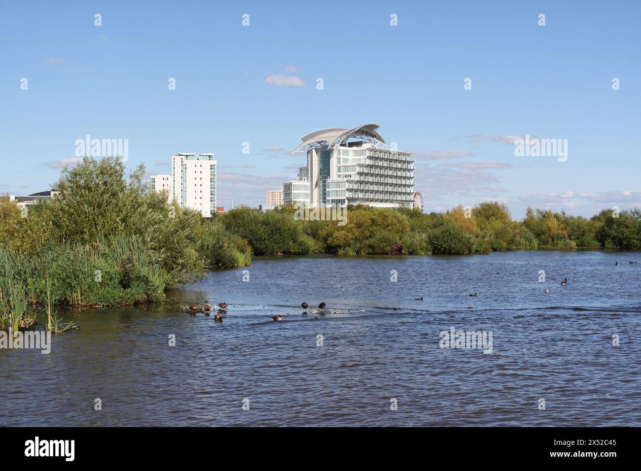 Cardiff bay wetlands nature reserve, Wales UK St Davids hotel Stock ...