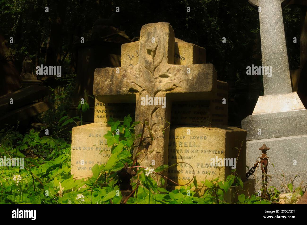 An ornate Victorian tombstone, crafted in the shape of a cross, stands ...