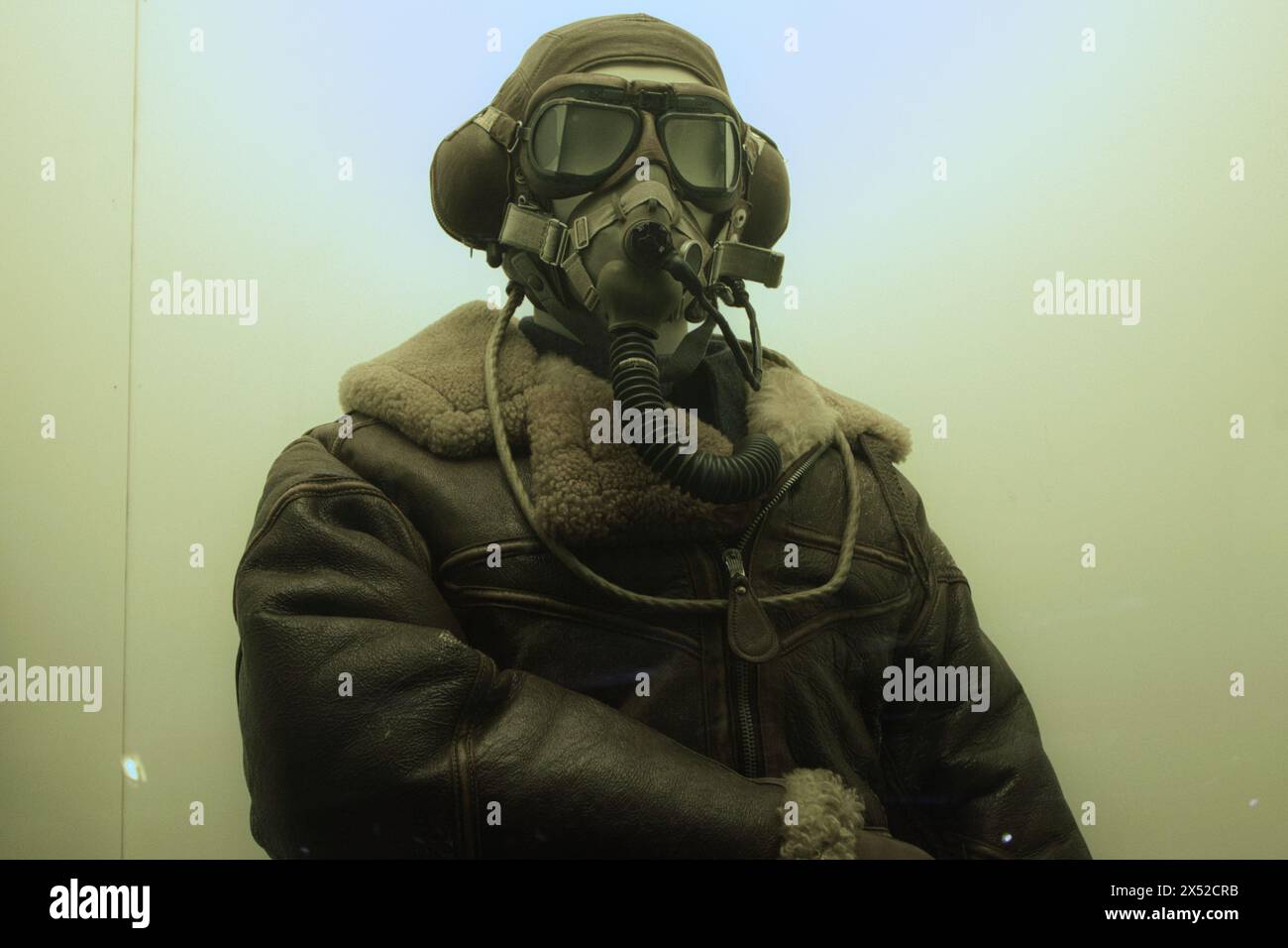 Amidst the turmoil of World War II, a brave British aviator stands ...