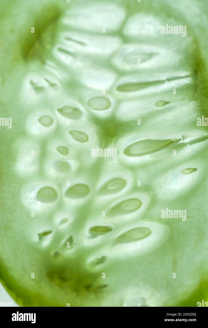 Backlit slice Abstract food backgrounds Stock Photo - Alamy