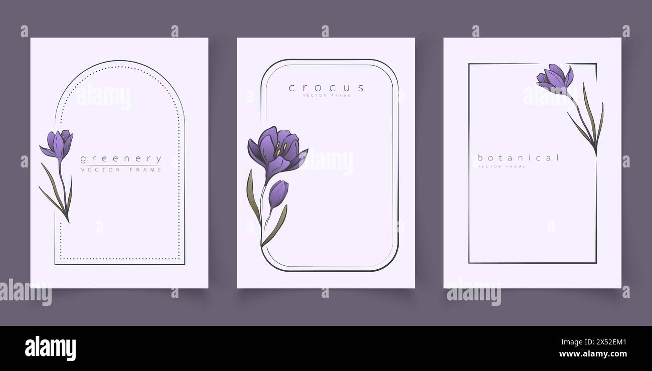Botanical line art illustration set of crocus flower frames templates ...