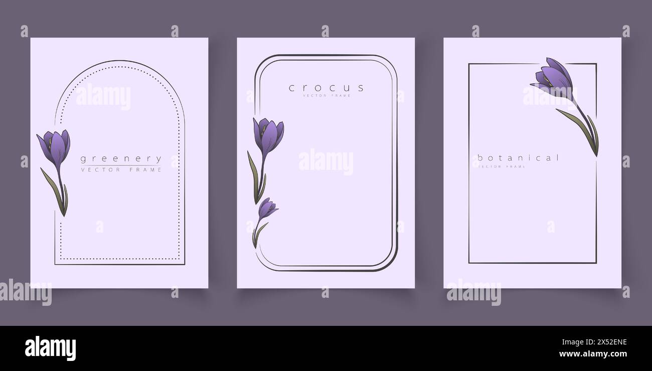 Botanical line art illustration set of crocus flower frames templates ...