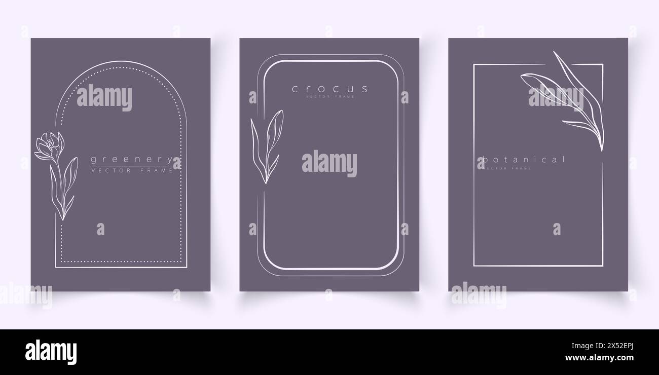 Botanical line art illustration set of crocus flower frames templates ...