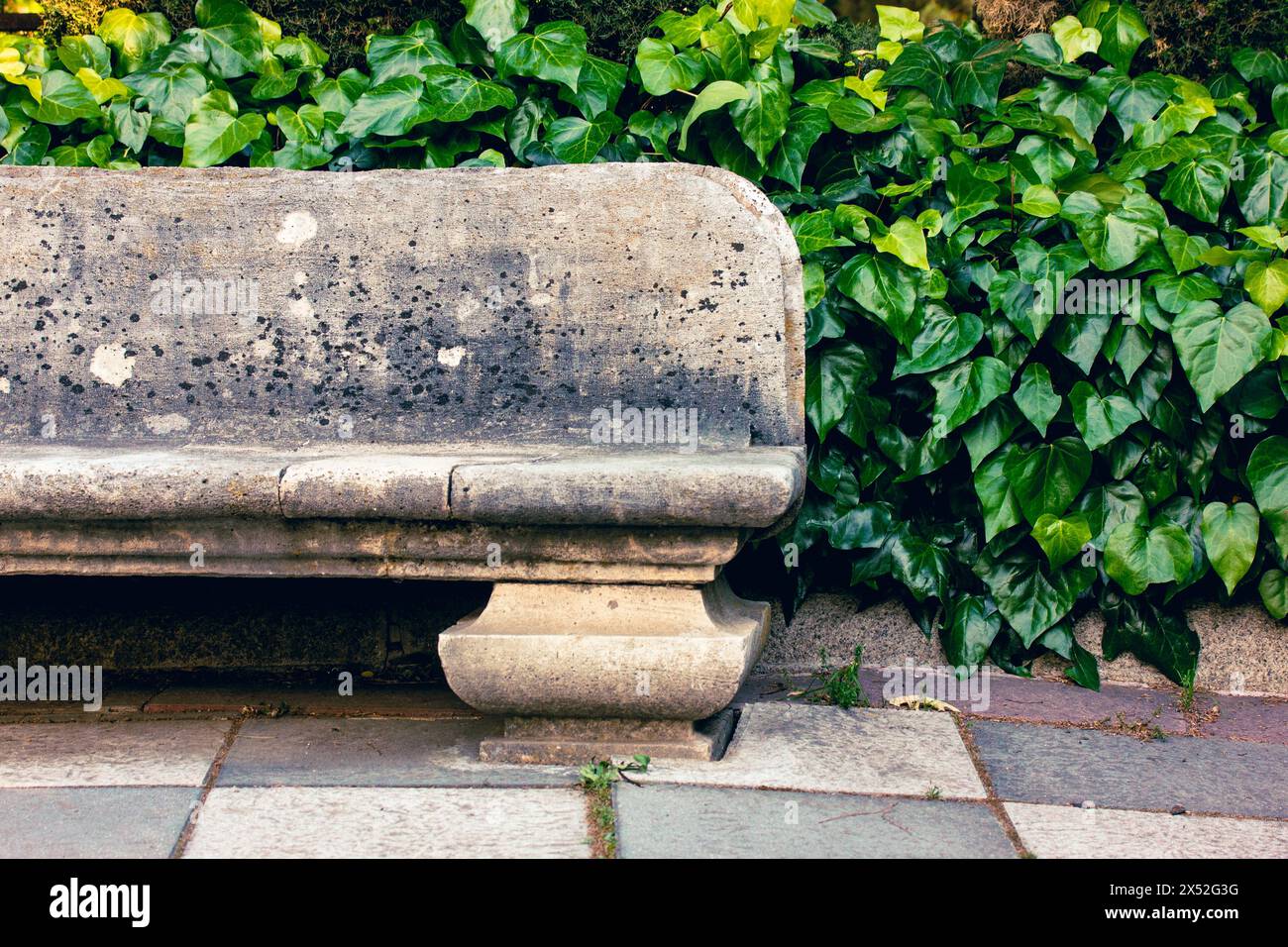 An ancient concrete stone bench in front of green leaves background in ...
