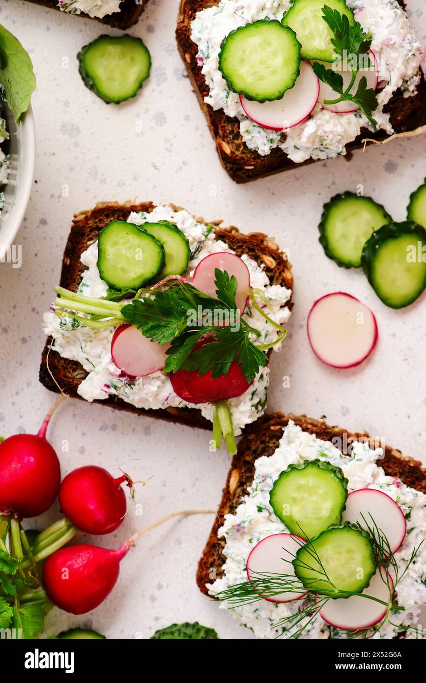 Canapes with cottage cheese with herbs and radishes.top view.selective ...
