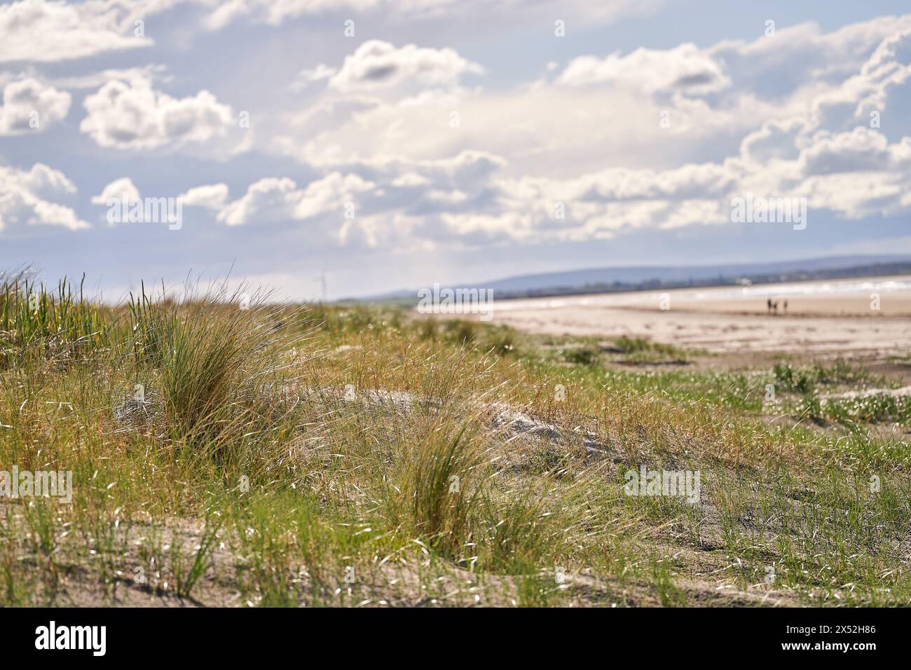 Atlantic ocean beach dunes sand Stock Photo - Alamy