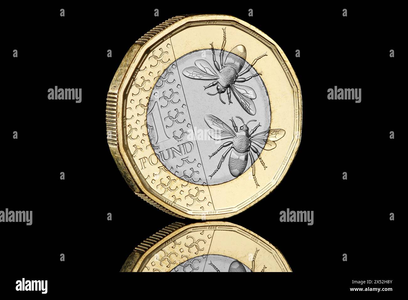 The first UK £1 coin to feature King Charles III. The reverse side ...