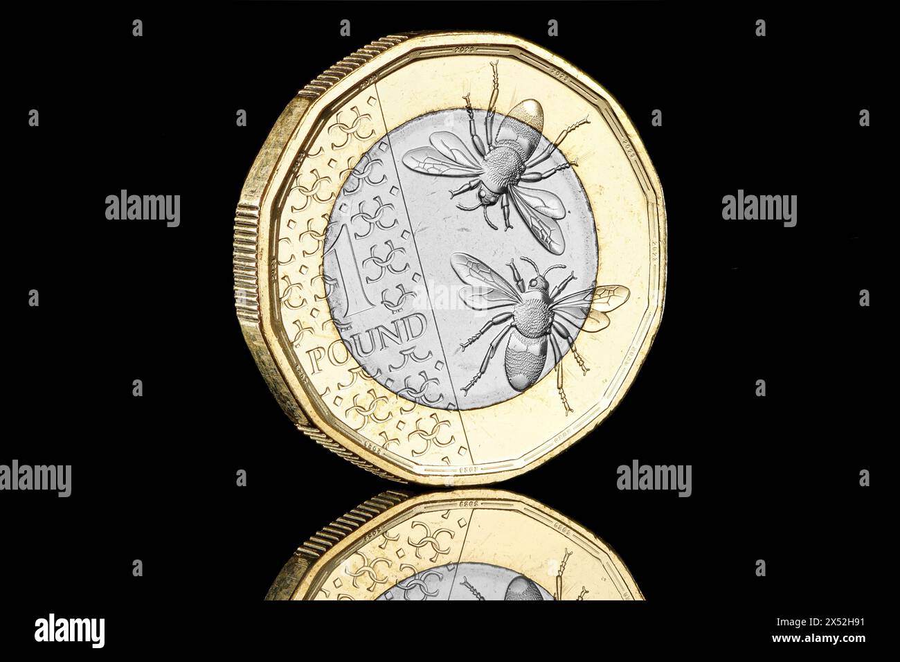 King charles pound coin reverse hi-res stock photography and images - Alamy