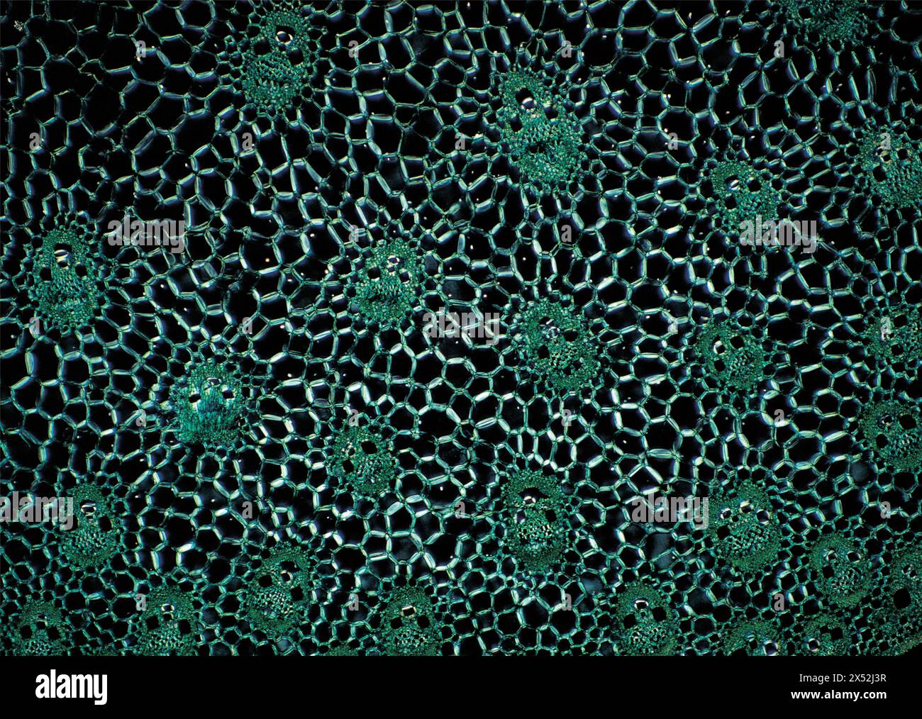 Ethereal Abstract Microscopic Ice Shard Texture Stock Photo - Alamy