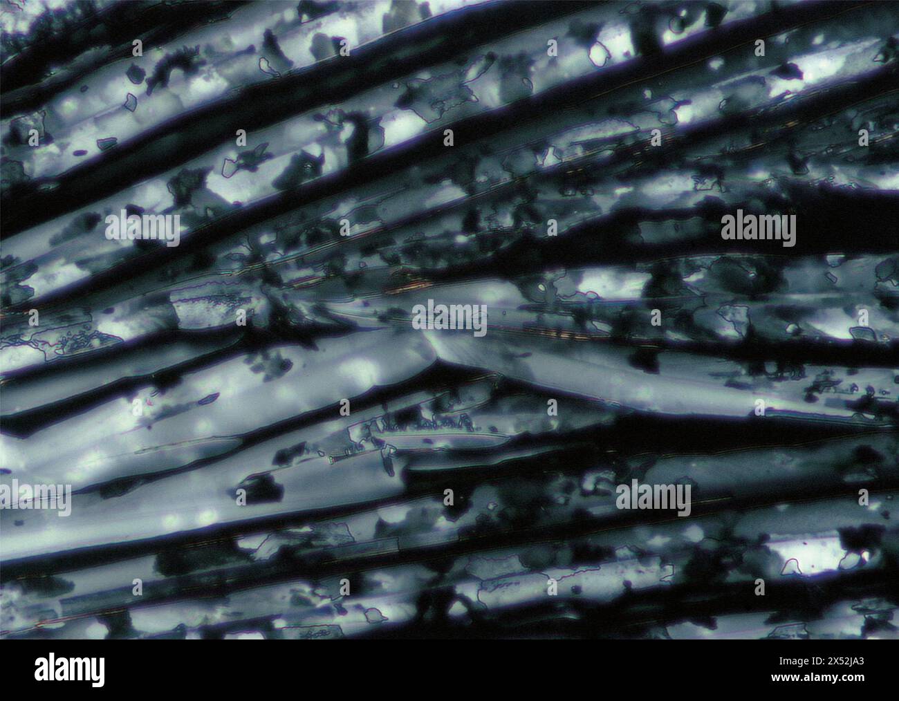 Ethereal Abstract Microscopic Ice Shard Texture Stock Photo - Alamy