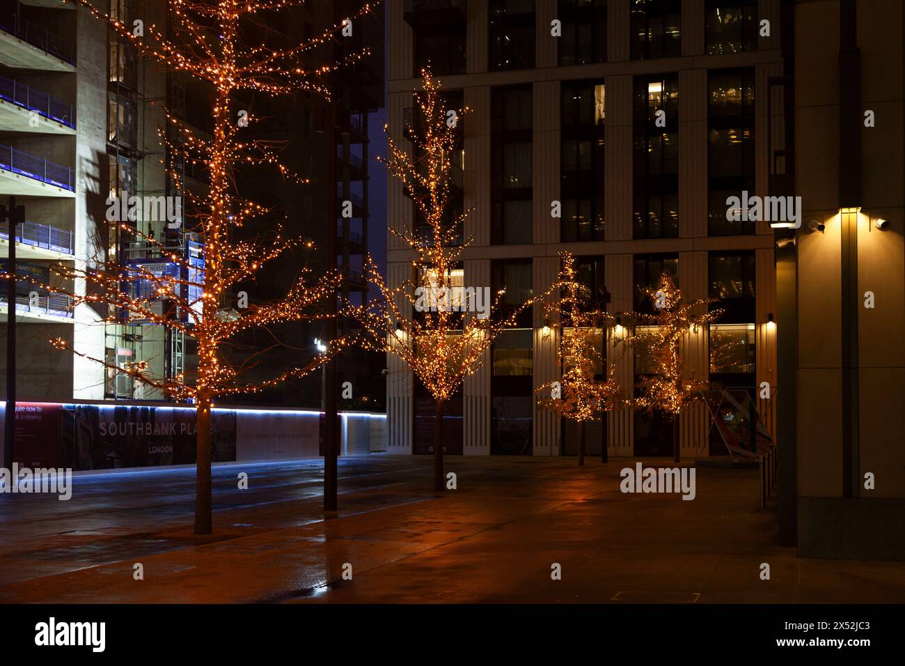 Urban night time scene, trees with Christmas lights, London, UK Stock ...