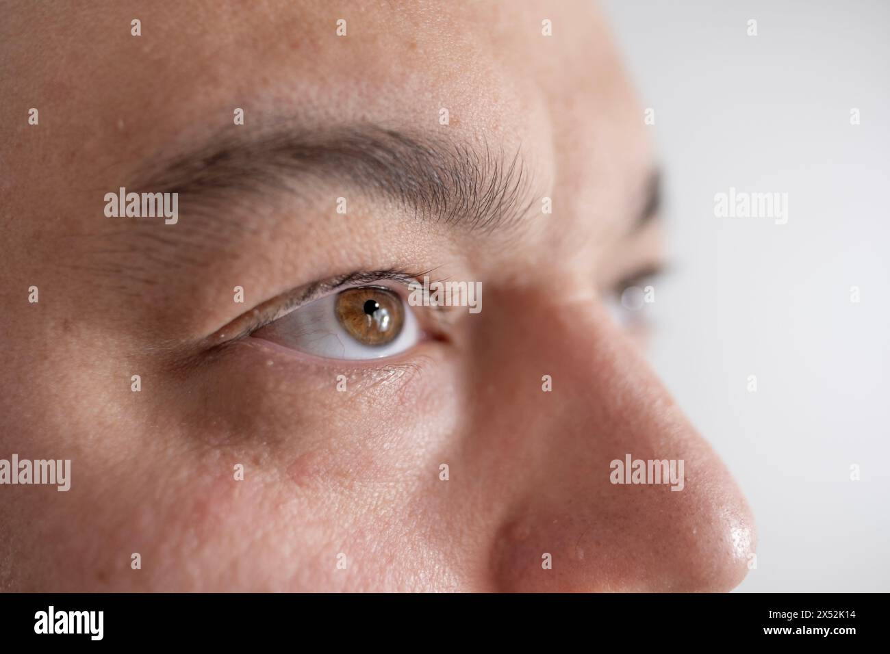 Intense gaze, Male Brown Eyes close-up, young Caucasian man looking ...