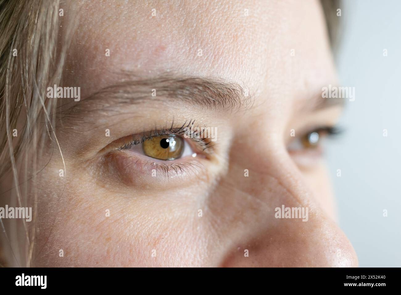 intense hazel eyes close-up, girl 25-30 years old, human eye looking to ...