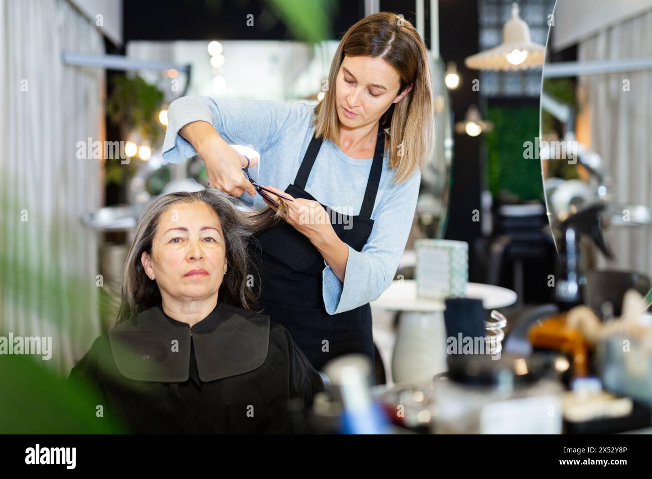 Woman hair stylist making haircut to aged female client Stock Photo - Alamy