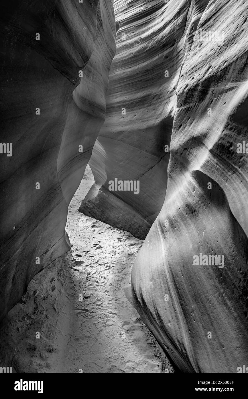 Multicolor page Black and White Stock Photos & Images - Alamy