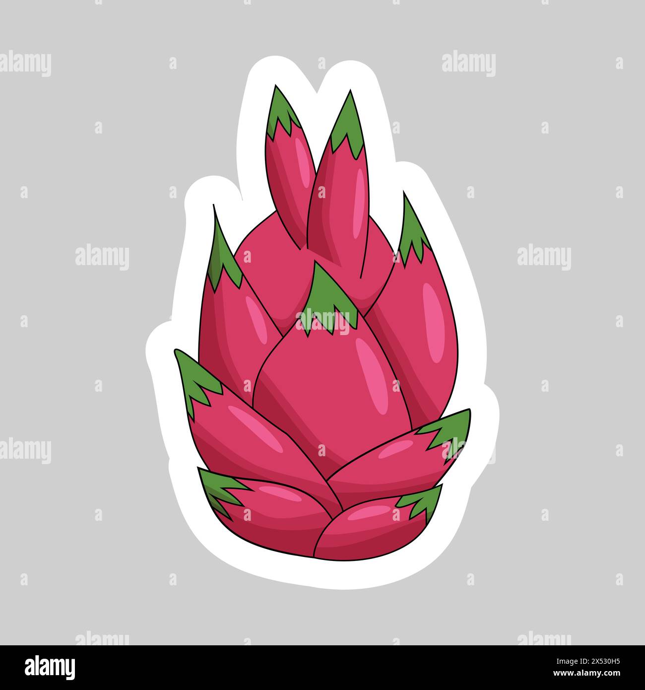 Sticker With Red Whole Dragon Fruit Or Pitaya Cartoon Style Summer Tropical Fruit Vector