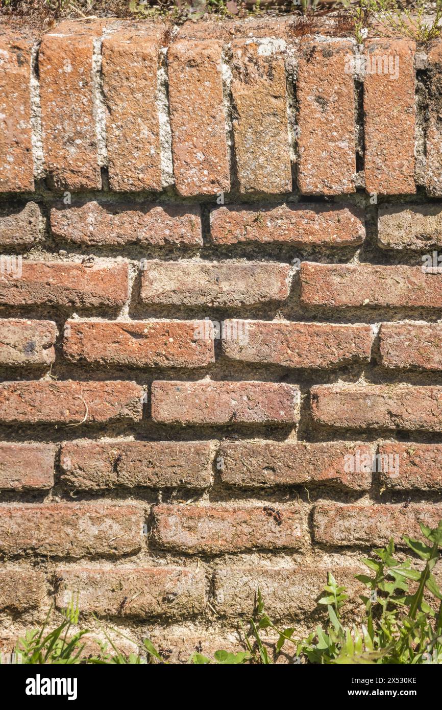 Terracotta brick wall, vector texture background Stock Photo - Alamy