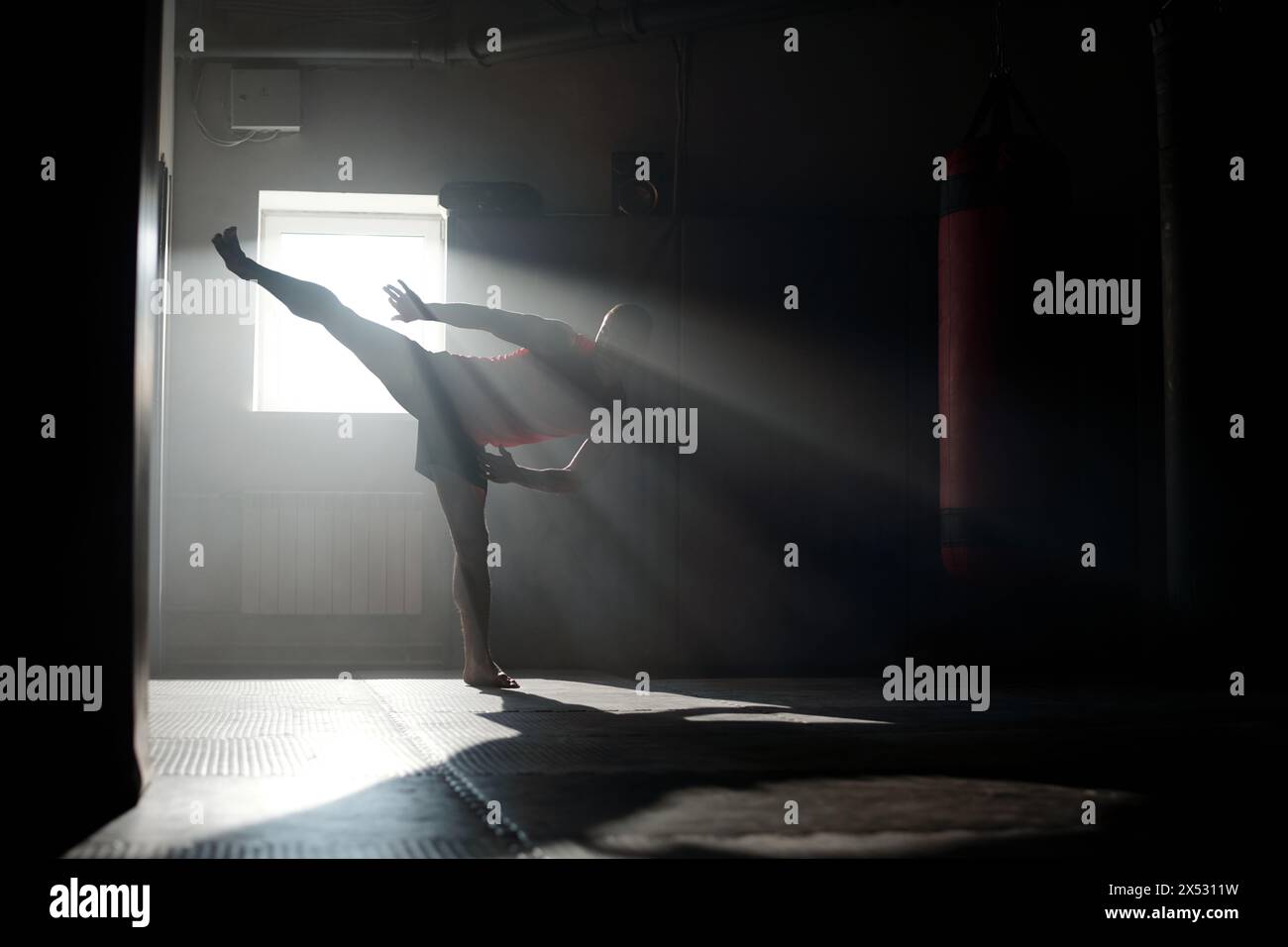 Silhouette professional boxer boxing hi-res stock photography and ...