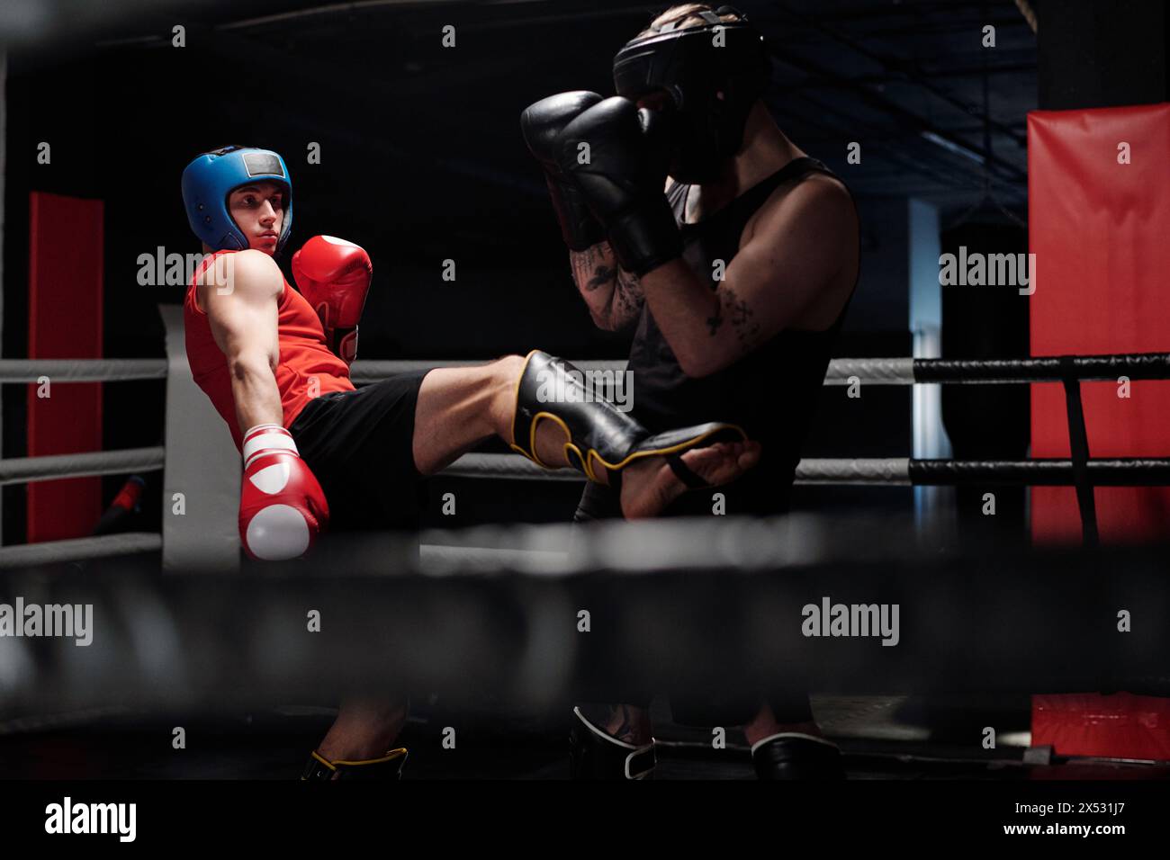 Professional boxing fight leg hi-res stock photography and images - Alamy
